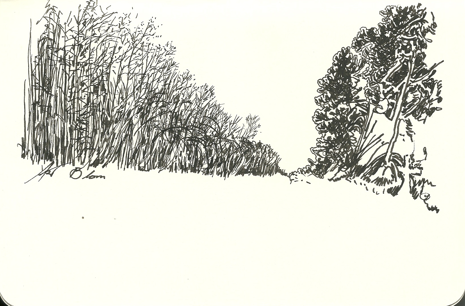 IS 1234203 5.5 x 8.25